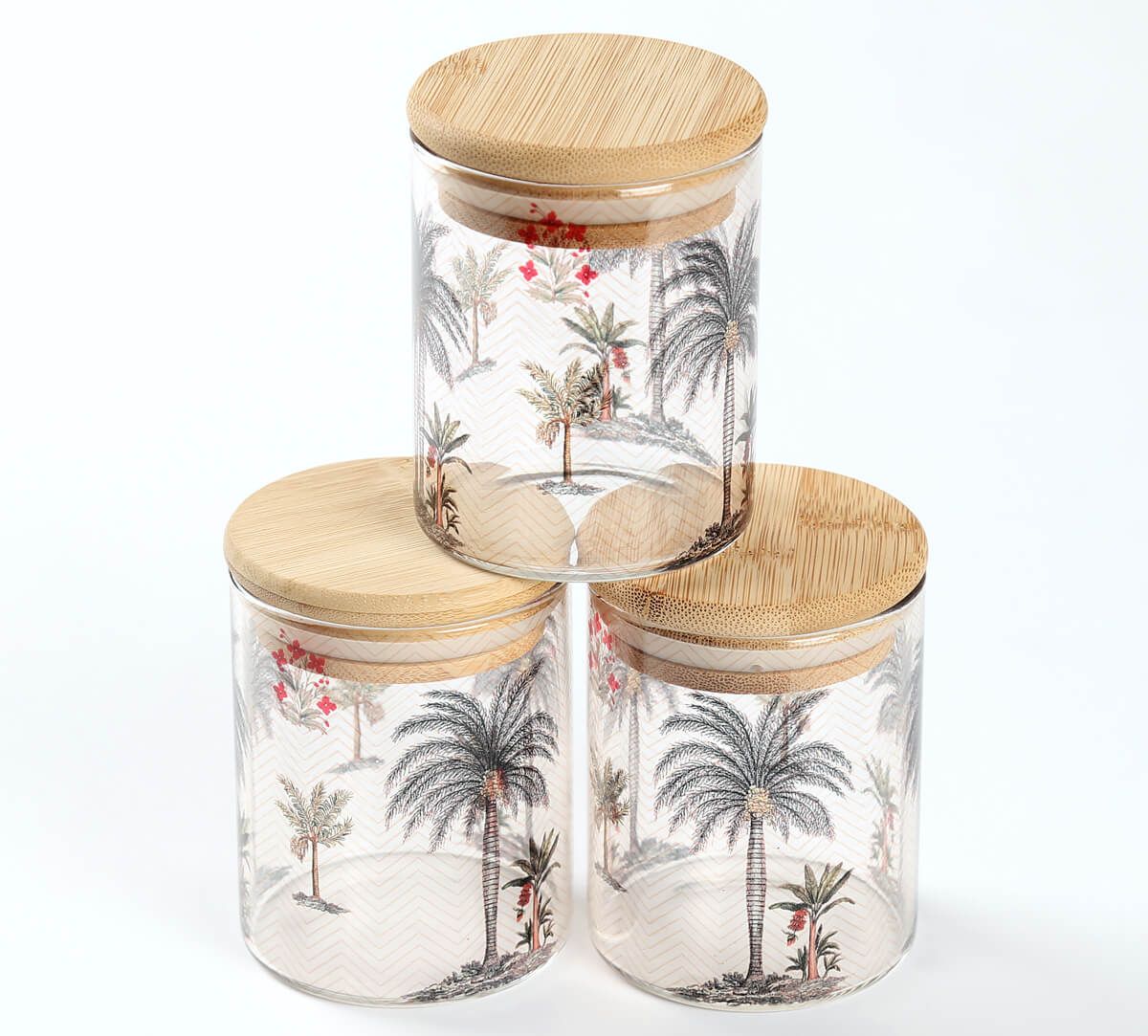 Chevron Palms Glass Jar | Glass Jars Set of 3 | India Circus